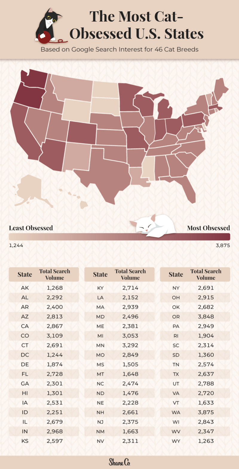The Most Popular Cat Breed in Every U.S. State