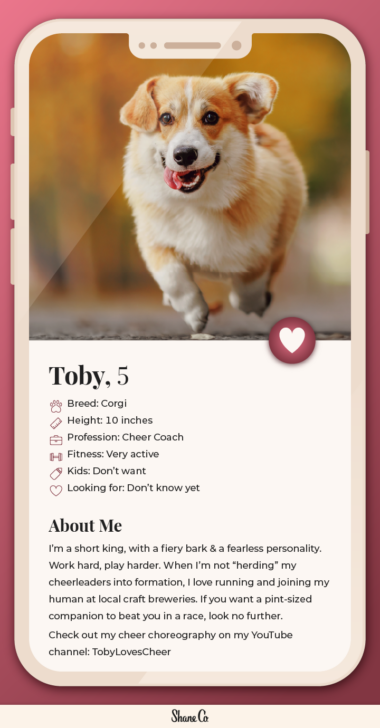 Fictional Dating Profiles of Seven Dog Breeds - The Loupe