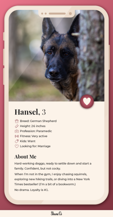 Fictional Dating Profiles of Seven Dog Breeds - The Loupe