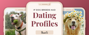 Fictional Dating Profiles of Seven Dog Breeds - The Loupe